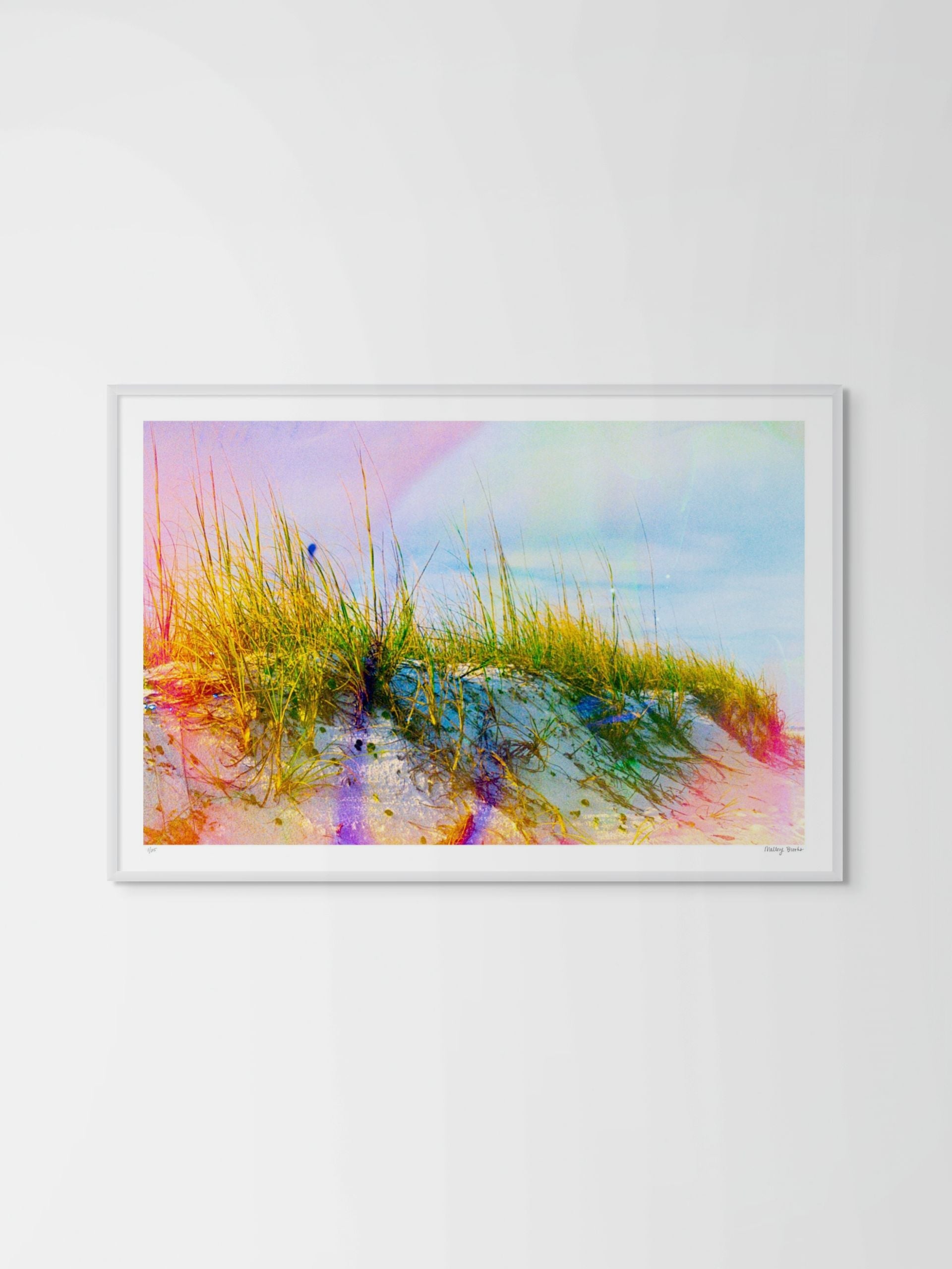 Rainbow Dunes Gulf Coast Photography | Limited Edition Beach Dunes Fine ...